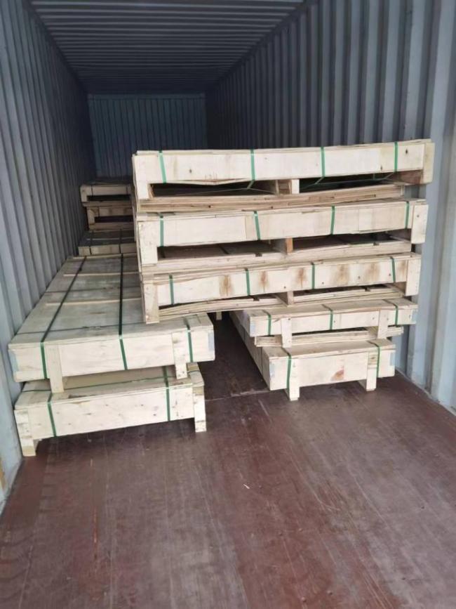 security insect screen