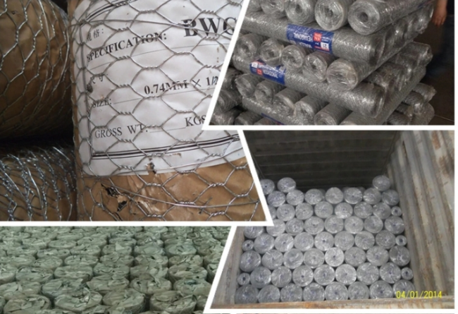 hexagonal wire mesh