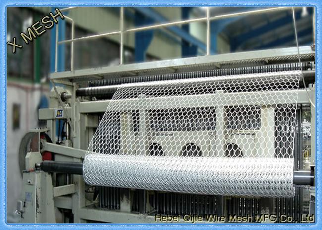 hexagonal wire mesh