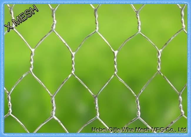 hexagonal wire mesh