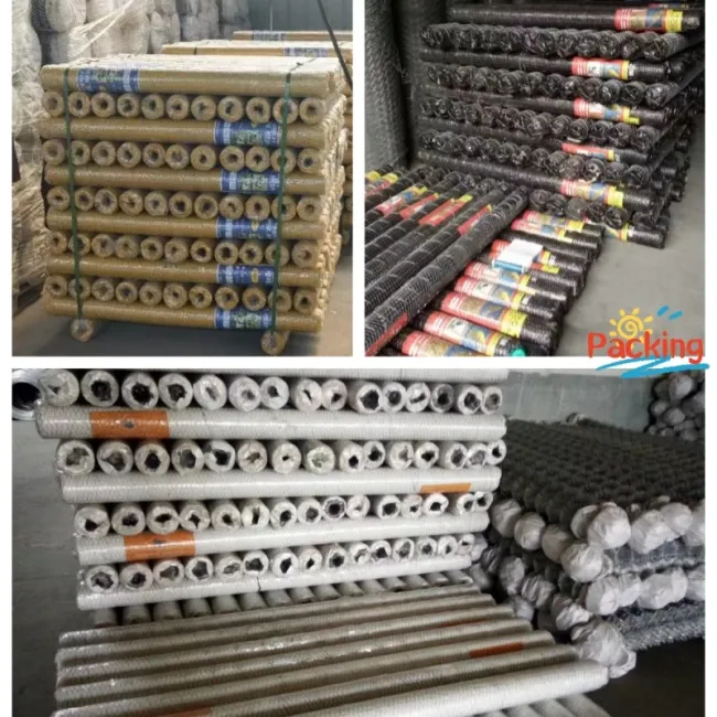 Plastic Black Coated Plated Hexagonal Hex Chicken Wire Mesh in Rolls 1"