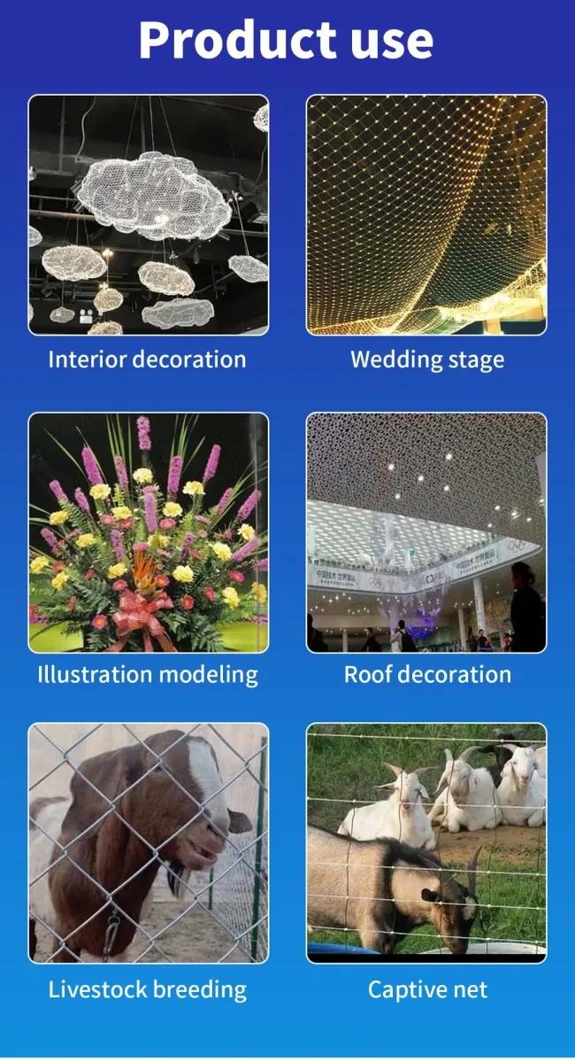 PVC Galvanized Poultry Farms Fence/Hexagonal Wire Netting/Chicken Wire Mesh