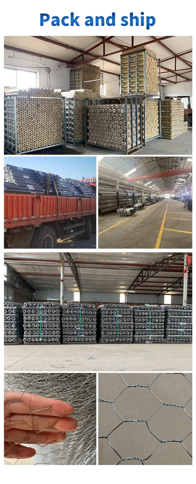 PVC Galvanized Poultry Farms Fence/Hexagonal Wire Netting/Chicken Wire Mesh