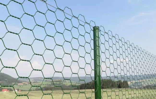 Galvanized Wire Mesh 