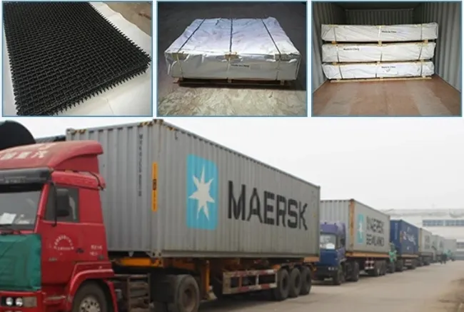Crimped Wire Mesh/Woven Wire Mesh/Crimped Woven Screen Mesh/Sieve Mesh/Wire Netting Metal Filter/Vibrating Screen Mesh/Screens for Coal Mines