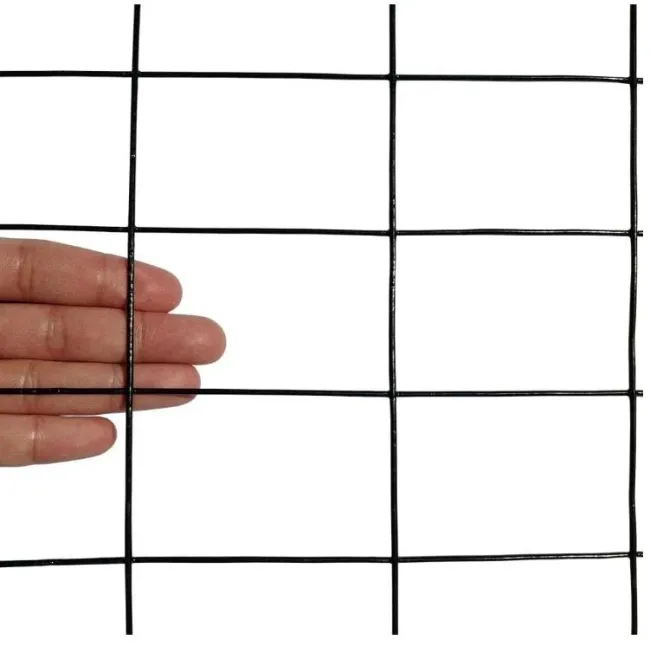 Galvanized Welded Wire Mesh for Fencing with Factory Price