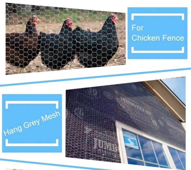 Hexagonal Wire Mesh 1/2 2 Inch Triple Twist Galvanized PVC Coated Hexagonal Wire Fence Chicken Net for for Chicken Coop