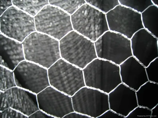 1/2" 3/8" 3/4" 1" Galvanized Hexagonal Chicken Wire Mesh