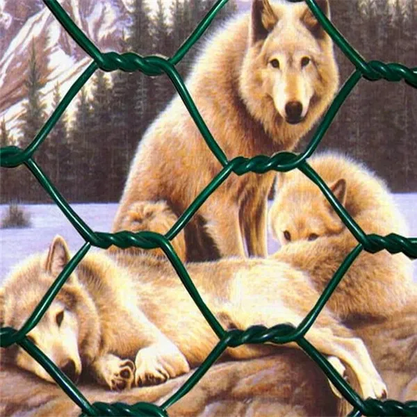 1/2" 3/8" 3/4" 1" Galvanized Hexagonal Chicken Wire Mesh