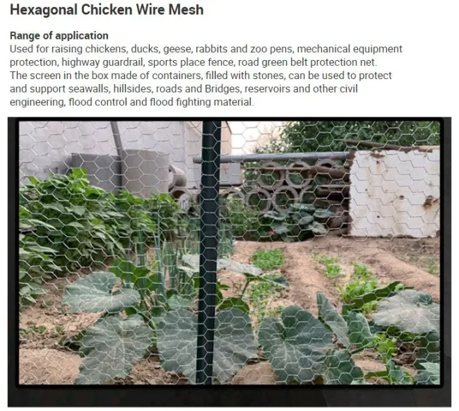 Woven Cheap Electro Galvanized Rabbit Wire Mesh Chicken Wire Hexagonal Wire Mesh