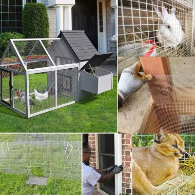 Cina 1/2x1 1x1 16Gauge ha galvanizzato la resistenza alla ruggine saldata di Mesh Rolls 25mmx25mm del cavo in vendita