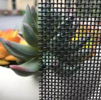 China Electrostatic Spraying Safety Screen Mesh Metal Security Mesh For Windows Antirust for sale