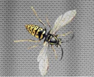 Cina maglia tessuta 10mesh dello schermo di sicurezza in vendita