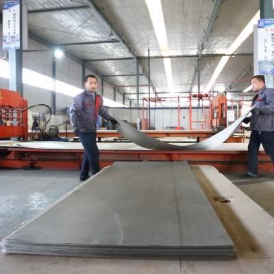 Cina Maglia anticorrosiva T 316 0.9Mm X 10Mesh dello schermo della zanzara di acciaio inossidabile in vendita