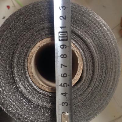 Cina 0.5mm 304 in acciaio inossidabile Insect Screen Mesh 8 Mesh in vendita