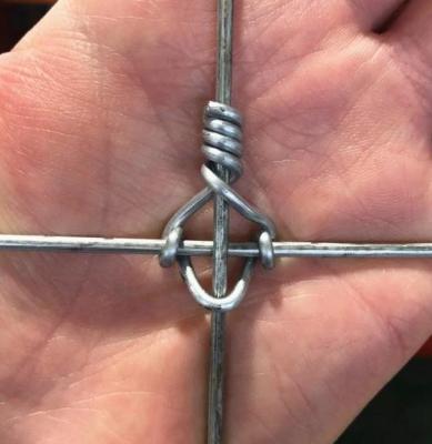 Cina Macchine per l'allevamento di animali in vendita