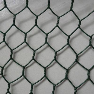 Cina Pvc 0,5 mm galvanizzato con rete esessuale filo di pollo inverso torsione in vendita
