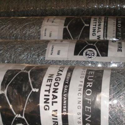 Cina Tessile di bestiame rete di filo esagonale 4 pollici per pollo anatra oca in vendita