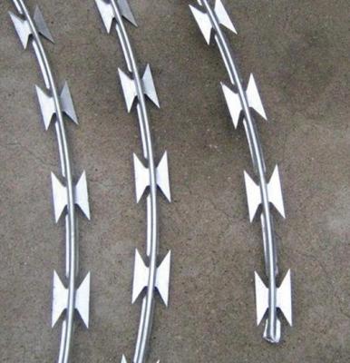 Cina Razor Barbed Wire Concertina Razor Wire for Security Fence in vendita