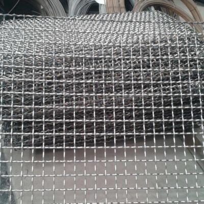 Cina 25mm Openning Pre Crimped Wire Mesh With 316 Stainless Steel SS Square in vendita