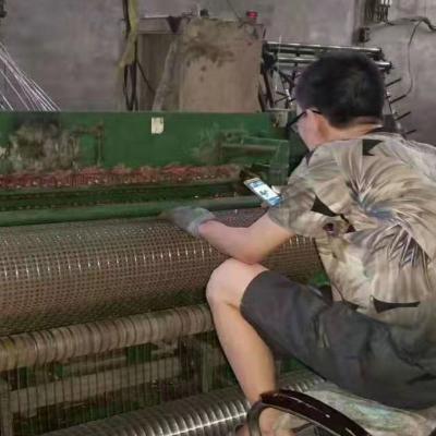 Cina 6X6 4ftx8FT pannelli e griglie di maglie di filo galvanizzato saldato/maglie di filo saldato in vendita