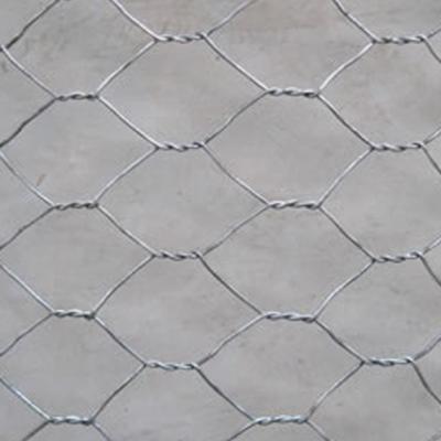 Cina Griglia di filo di pollo coniglio / Griglia di filo esagonale galvanizzata in vendita