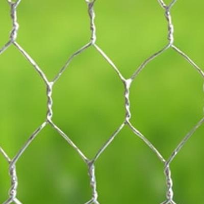 Cina 1/2" Hex Chicken Wire Mesh fabbricazione rete di fabbrica in vendita