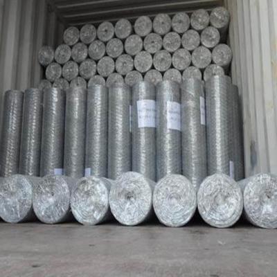 Cina Griglia galvanizzata con rete esagonale in vendita