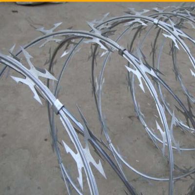 Cina Galvanizzato PVC in acciaio inossidabile Concertina Razor Barbed Wire Bto-22 Bto-60 Cbt-65 Fencing Wire Prezzo in vendita