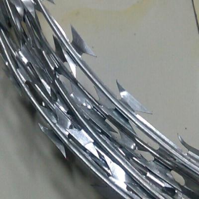 Cina Diametro della bobina 450mm Barbed Wire Coil Hot Dip Galvanized In Fence in vendita