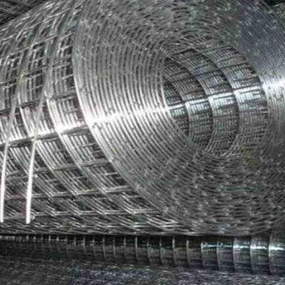 Cina Best seller Frigorifero galvanizzato per pareti esterne anti crepa Griglia di filo saldato 1/2*0.40mm in vendita