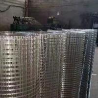China Hot Dipped Galvanized / PVC Coated Welded Wire Mesh Roll for sale