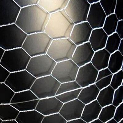 Cina Fence di allevamenti di pollame galvanizzata in PVC/Rete esagonale di filo/Rete di filo di pollo in vendita