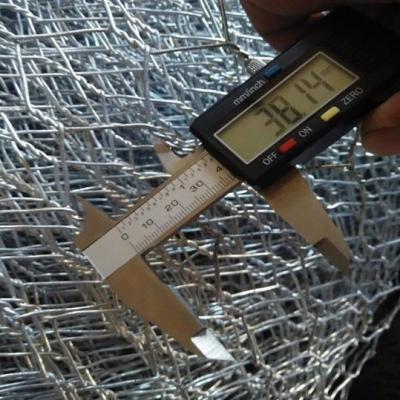 Cina Fence per pollame con rivestimento in PVC o galvanizzato in vendita