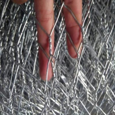 Cina Fence per pollame con rivestimento in PVC o galvanizzato in vendita