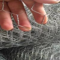 China PVC Coated Or Galvanized Hexagonal Chicken Wire Mesh For Poultry for sale