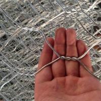 China Best Selling PVC Galvanized Chicken Wire Hexagonal Wire Mesh for sale
