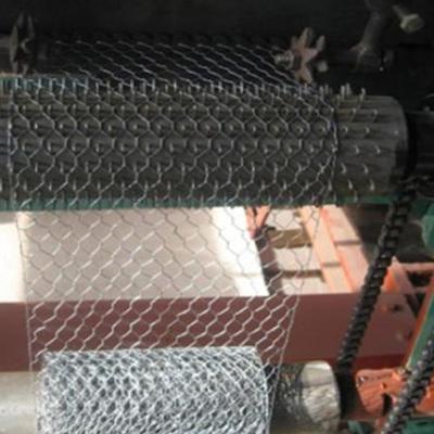 Cina Tessuto Barato Elettro Galvanizzato Coniglio Wire Mesh Pollo Wire Hexagonal Wire Mesh in vendita