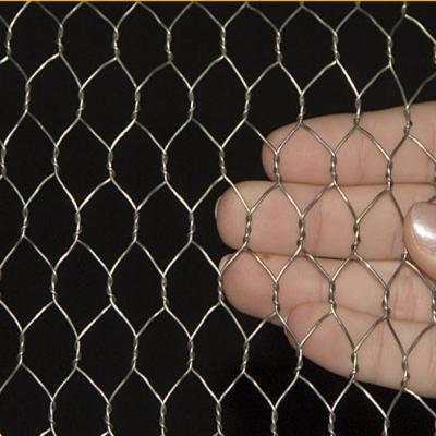 Cina Griglia esagonale di pollo Griglia esagonale di filo galvanizzato 0,3 mm in vendita