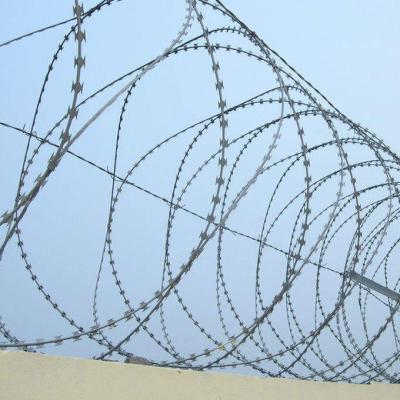Cina Connessione di rete a bobina singola intricata a bobina di Concertina CBT-65 per recinzione di sicurezza in vendita