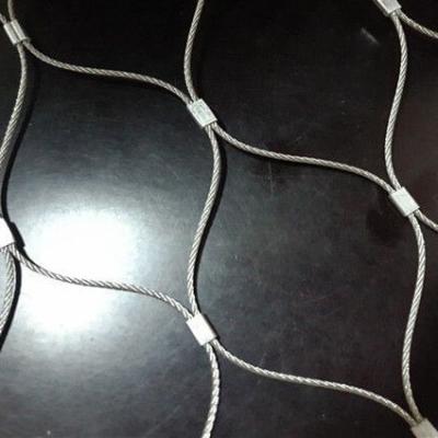 Cina X Tend 304 316 Ferrule in acciaio inossidabile in vendita