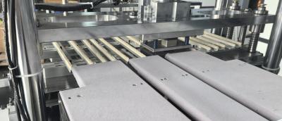 Cina 4000-6000 Pz/ora Velocità di punzonatura Punzonatrice automatica per schede di forma speciale per punzonatura precisa ±0,10 mm YLP-SP-XY in vendita