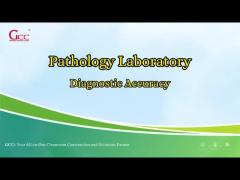 Il laboratorio di patologia