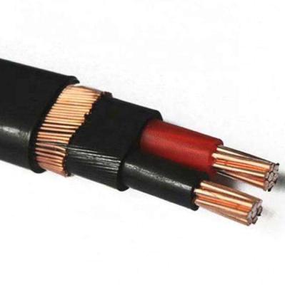 China XLPE Insulated 6 AWG Copper Concentric Cable with 0.6/1kV Rated Voltage and Customizable Length for sale
