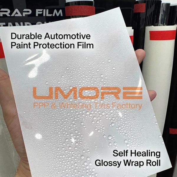 Quality High Gloss TPU TPH Car Body Protection Film Roll Car Wrap 10mil Ashland Glue for sale