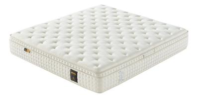 China Micro Latex Pocket Coil Mattress Silent Motion Isolation Latex Pressure Relief for sale