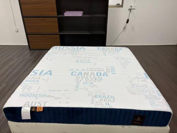 Quality Adjustable Sleep Smart Mattress Okin Motor Individual Pocket Springs Full Body Support for sale