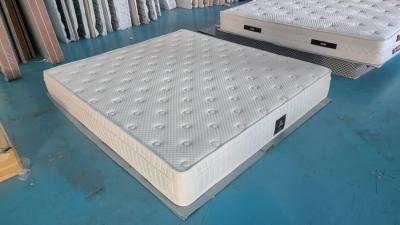 China Premium Compressed Mattress Pocket Coils Rolled Pack Easy Delivery Support for sale