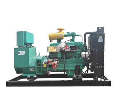China 50/60Hz Open Type Methane Generator Biogas Generator 80kw for sale