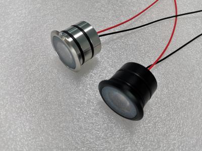 1W 316 SS Houing LED Spot Light Black/Brass/Gold Finishing IP68 Underwater Light